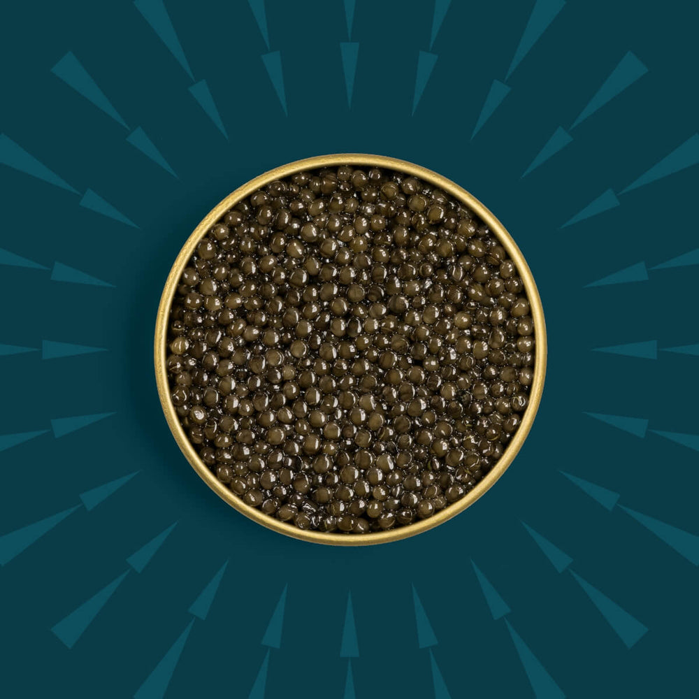 Classic Ossetra Caviar | Silky & Refined