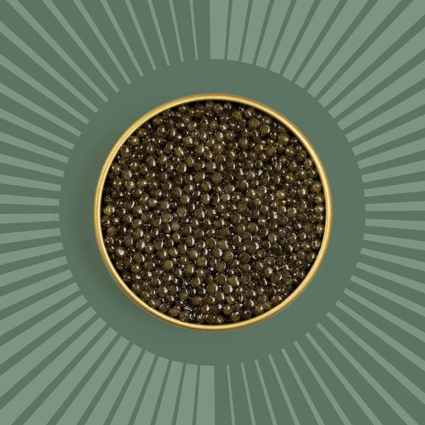 Ossetra Royal Belgian Caviar | Clean Nutty Finish